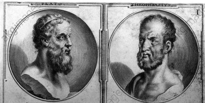 Theophrast und die gefrorenen Trauben (330 v. Chr.) :: Das andere ...